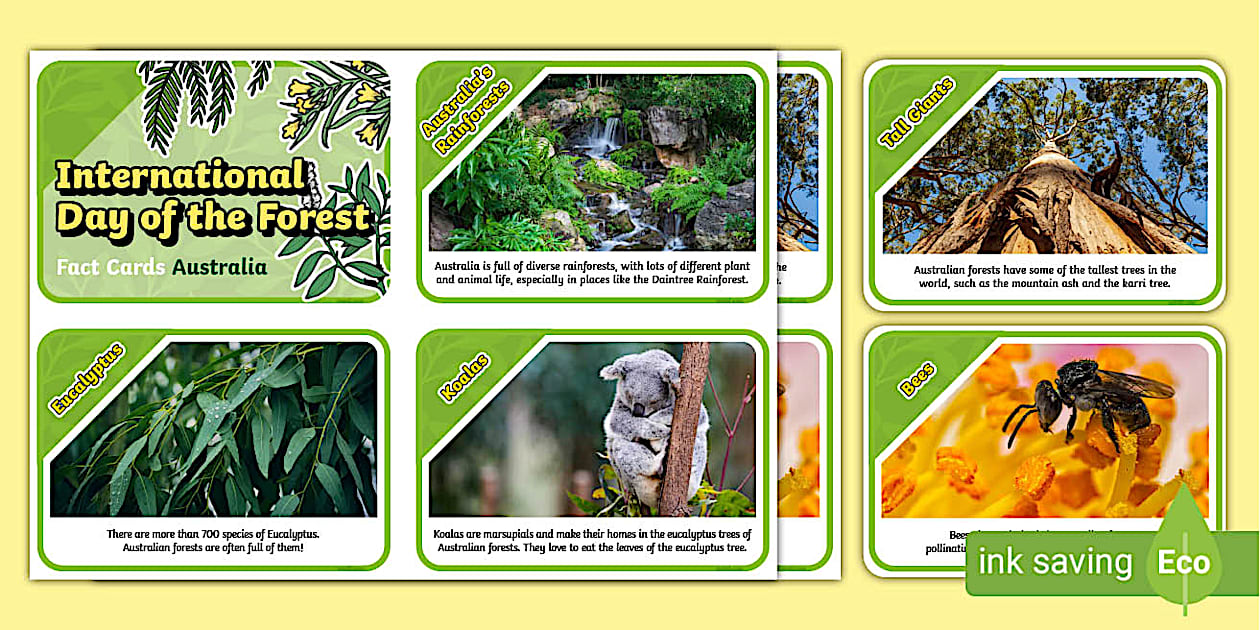 International Day of the Forest Fact Cards (Australia)