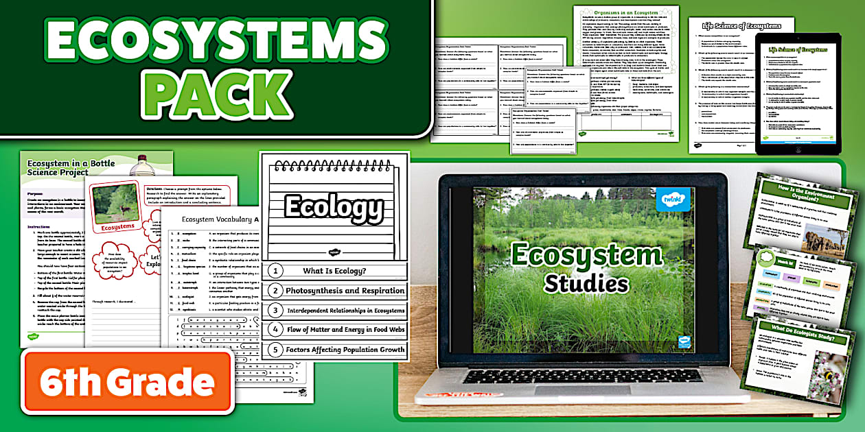 Sixth Grade Ecosystem Studies Lesson Pack (teacher made)