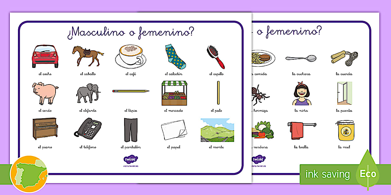 Tapiz de vocabulario: ¿Masculino o femenino? - Twinkl