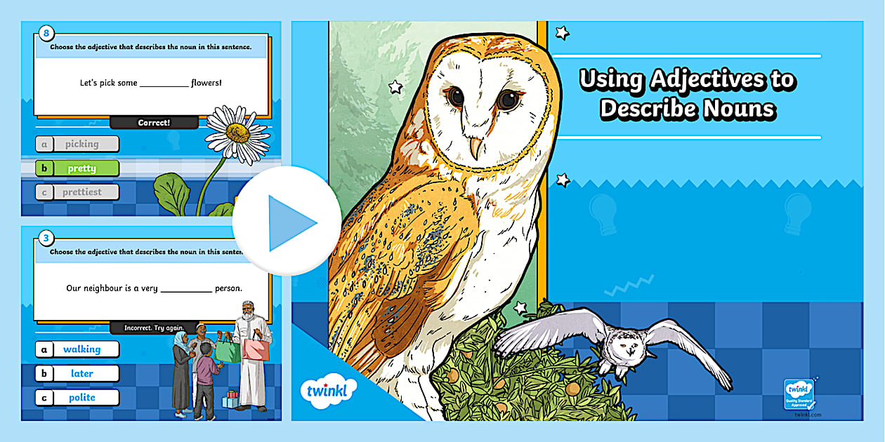 Using an Adjective to Describe a Noun Grammar PowerPoint Quiz