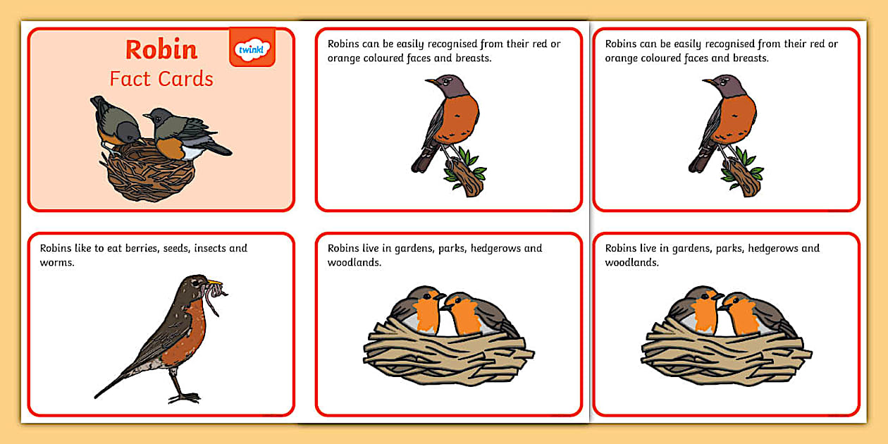 Robin Fact Cards (l'enseignant a fait) - Twinkl