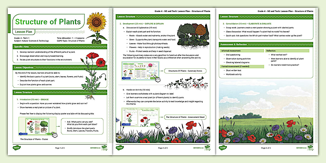 Grade 4 NS & Technology Lesson Plan: Structures of Plants