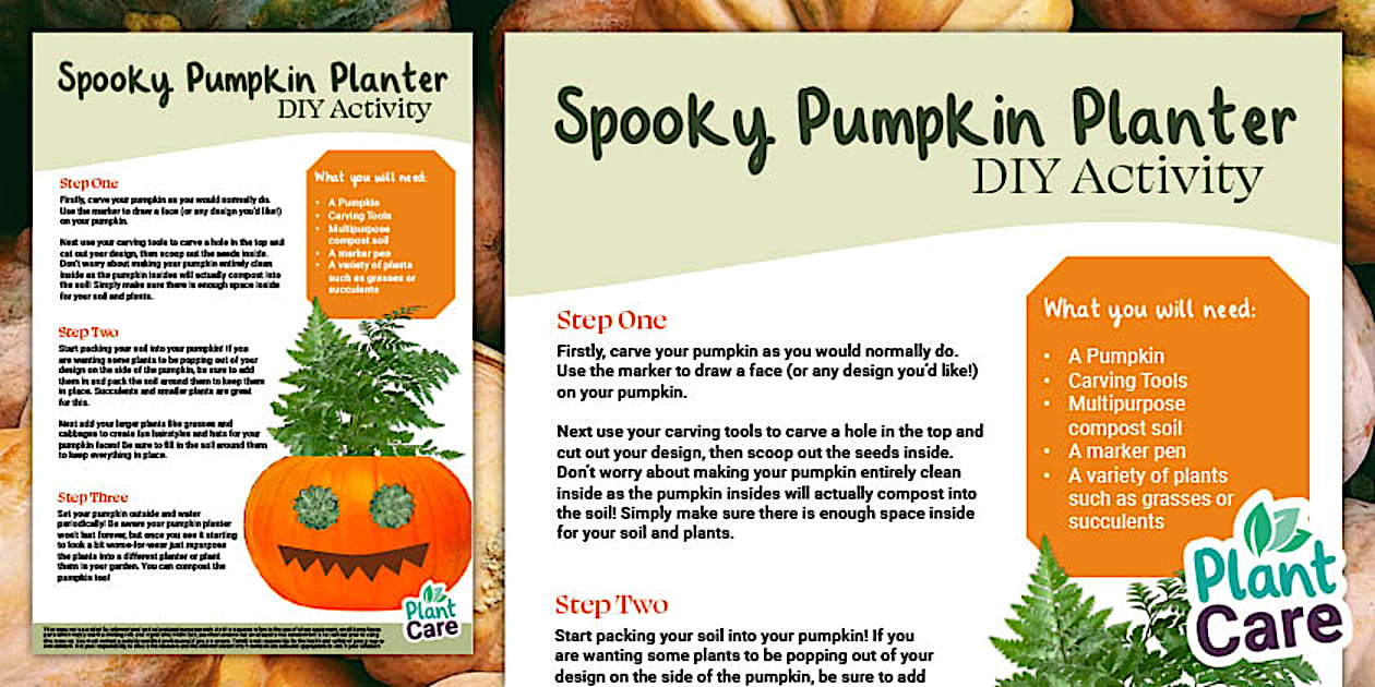 DIY Spooky Pumpkin Planter Activity (professor feito)