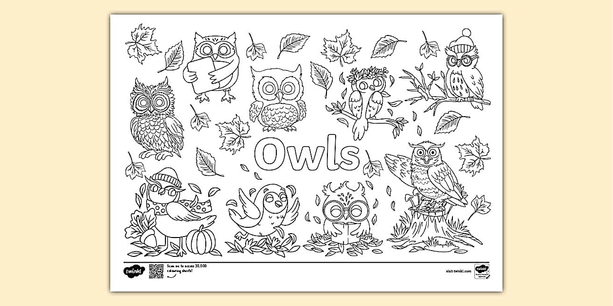 Owl Doodles Colouring Sheet - Twinkl Colouring Pages