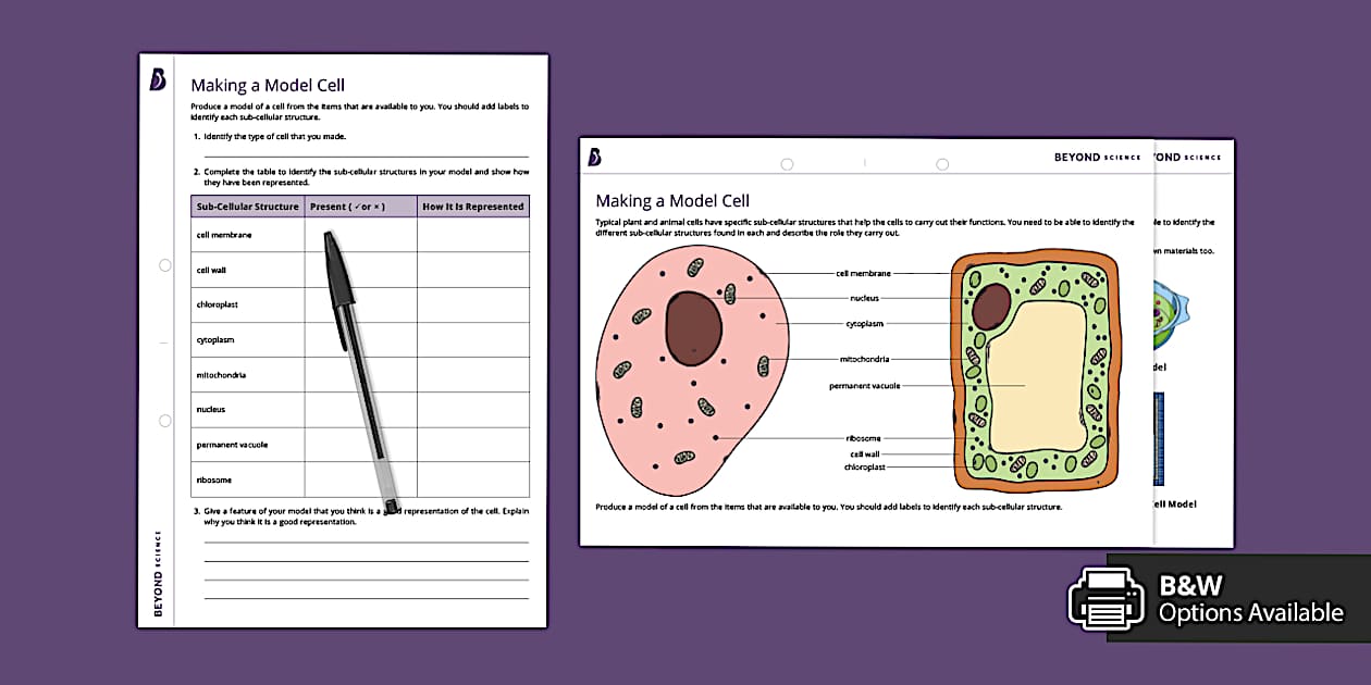 Making a Model of a Cell Homework Activity | Beyond - Twinkl