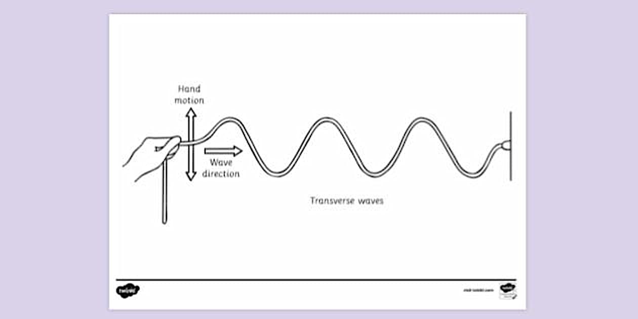 Transverse Waves Colouring Sheet Colouring | Colouring Sheets