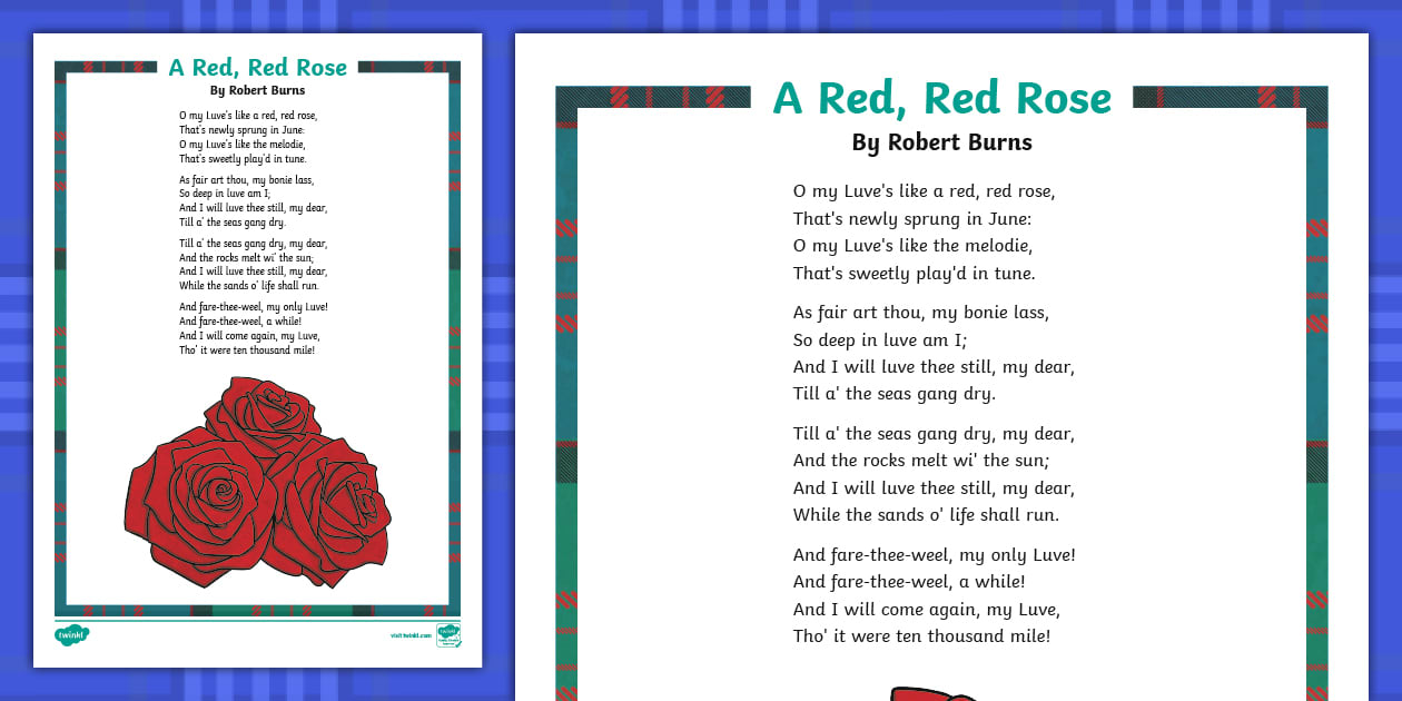 A Red, Red Rose Robert Burns Poem (Teacher-Made) - Twinkl