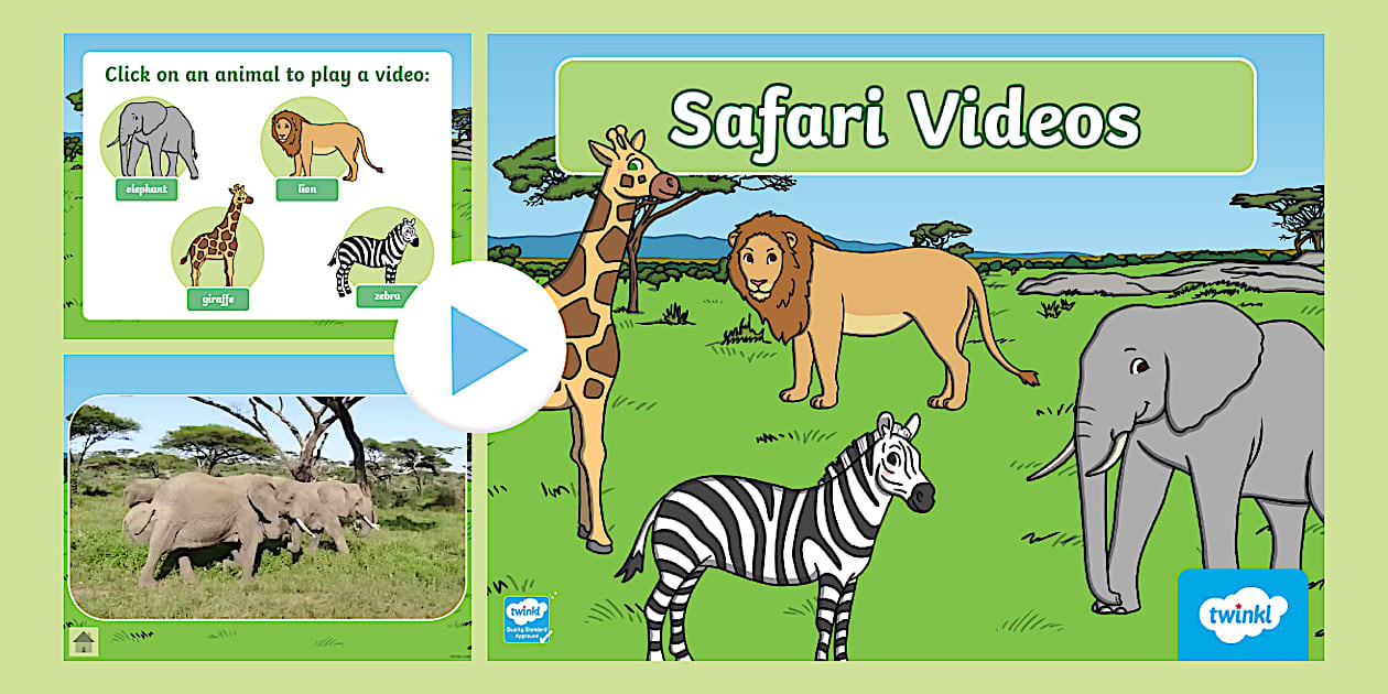 Safari Video PowerPoint (teacher made) - Twinkl