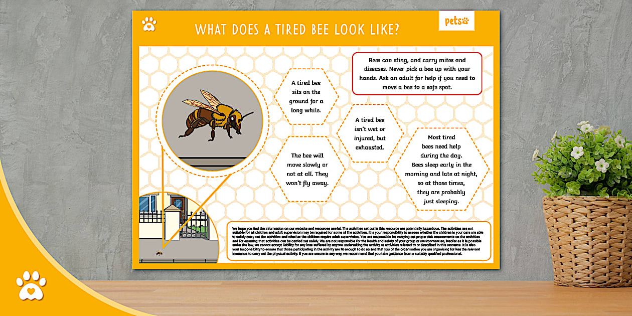 What Does a Tired Bee Look Like? - Display Poster - Pets