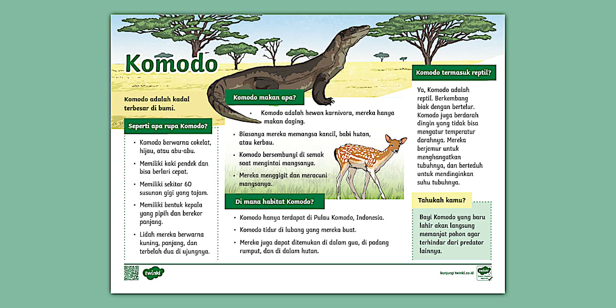 Teks Informasi Fakta tentang Komodo (teacher made) - Twinkl