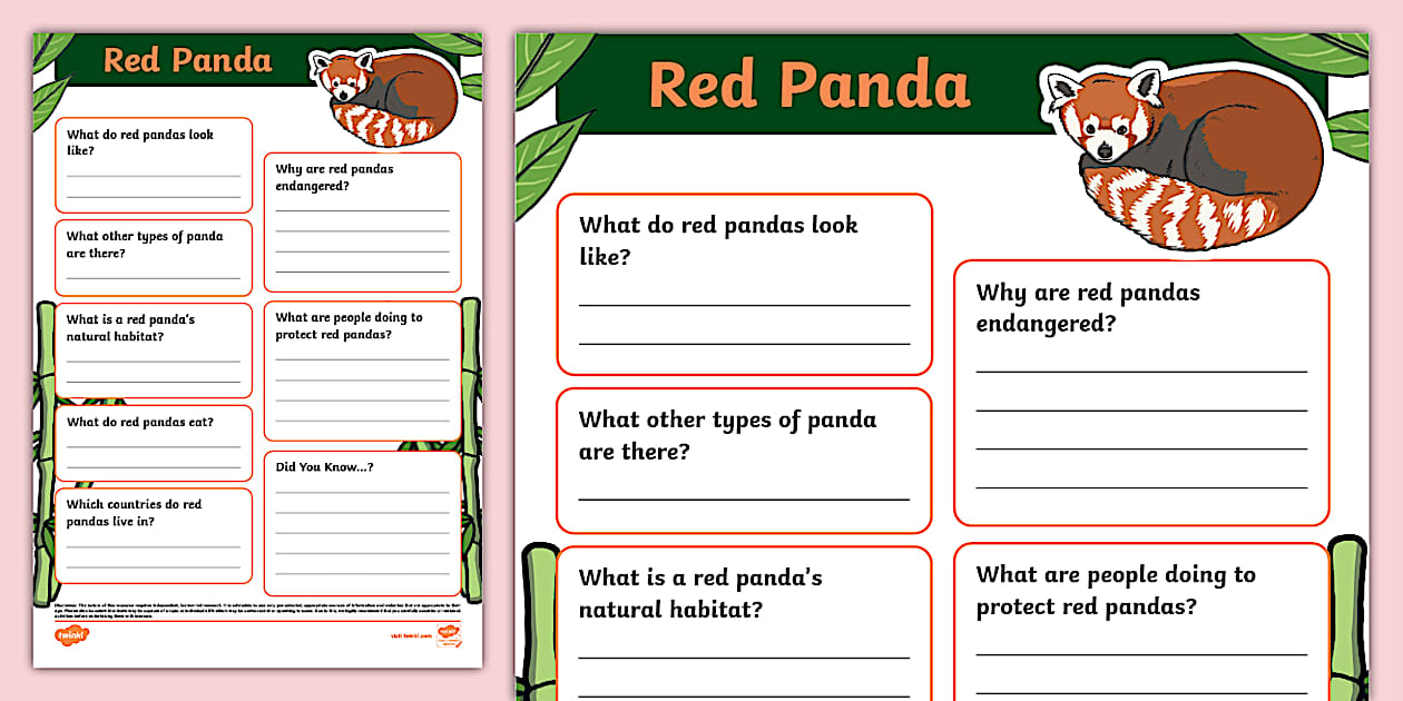 Red Panda Fact File Template (teacher made) - Twinkl