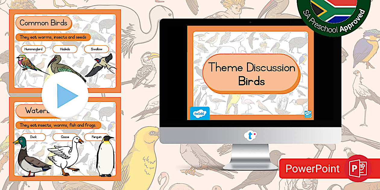 Theme Discussion: Birds (teacher made) - Twinkl