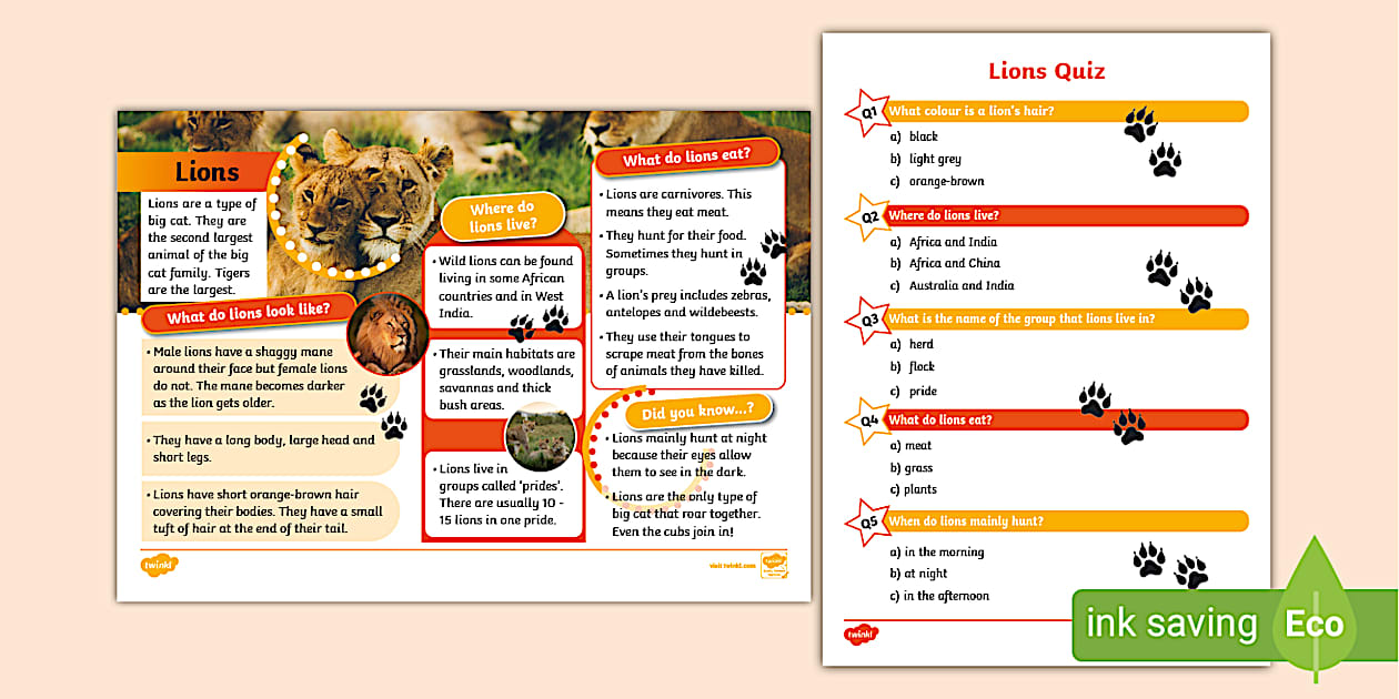Lion Fact File and Quiz - KS1 - Animals - Twinkl