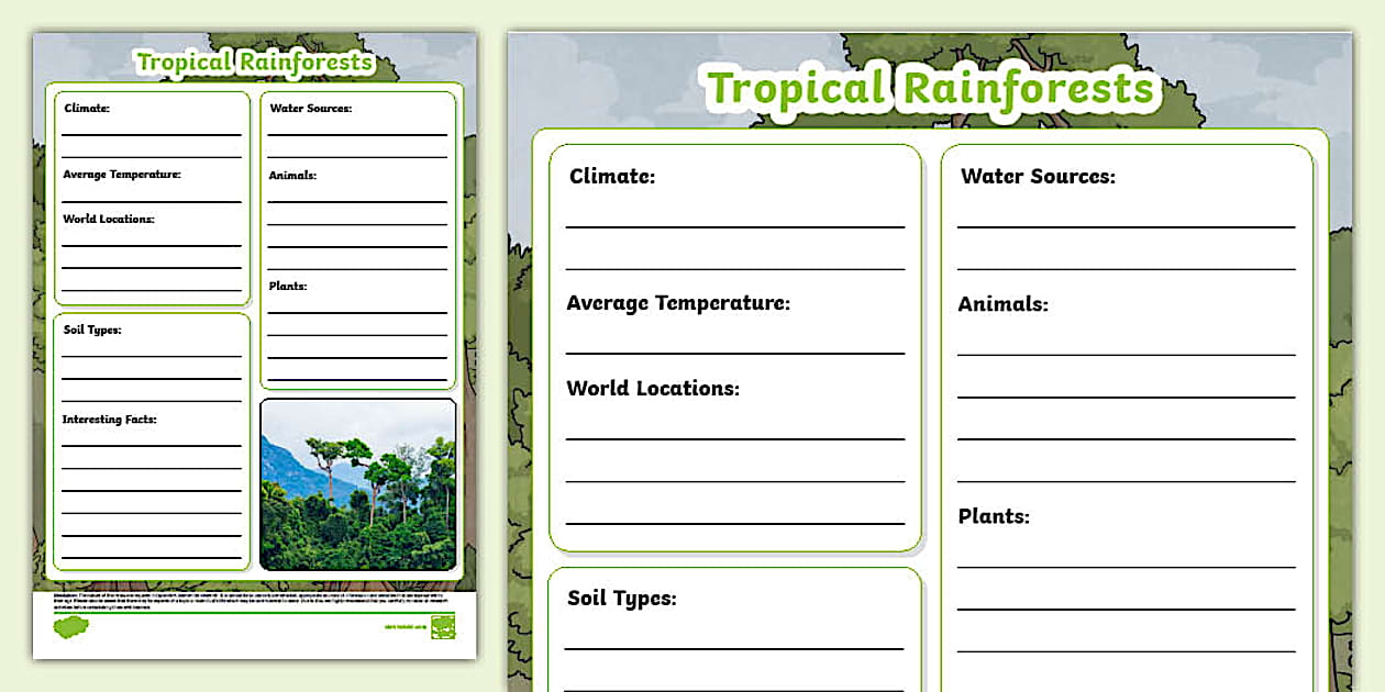 Tropical Rainforests Fact File Template - Twinkl - KS2