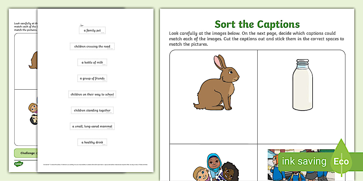 Sort the Captions Activity Sheet, Captions (teacher made)