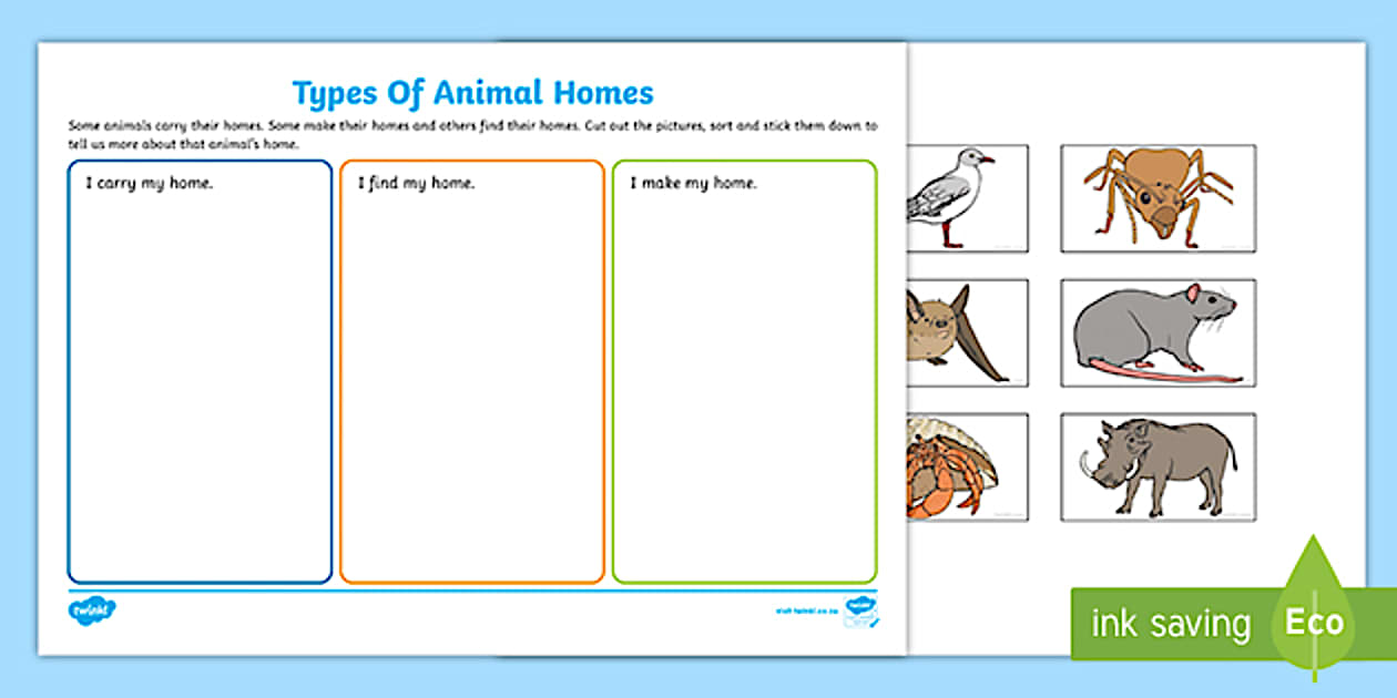 Types Of Animal Homes Sorting Worksheet - Twinkl