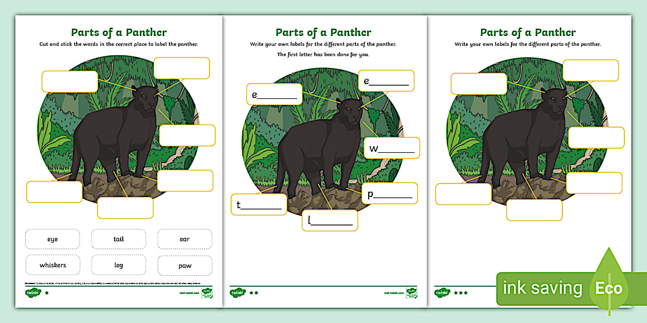 Panther Labelling Activity - Twinkl - KS1 (teacher made)