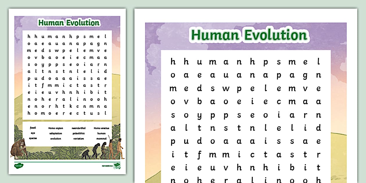 Human Evolution Word Search (teacher made) - Twinkl