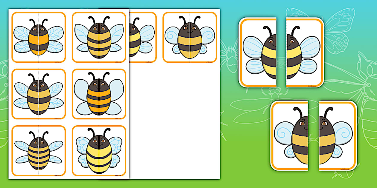 Bee Symmetry | Matching Cards | Twinkl Kindergarten | World Bee Day