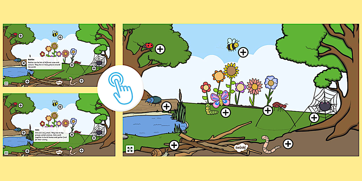 Minibeasts Facts: Interactive Hotspots | Twinkl Go! - Twinkl