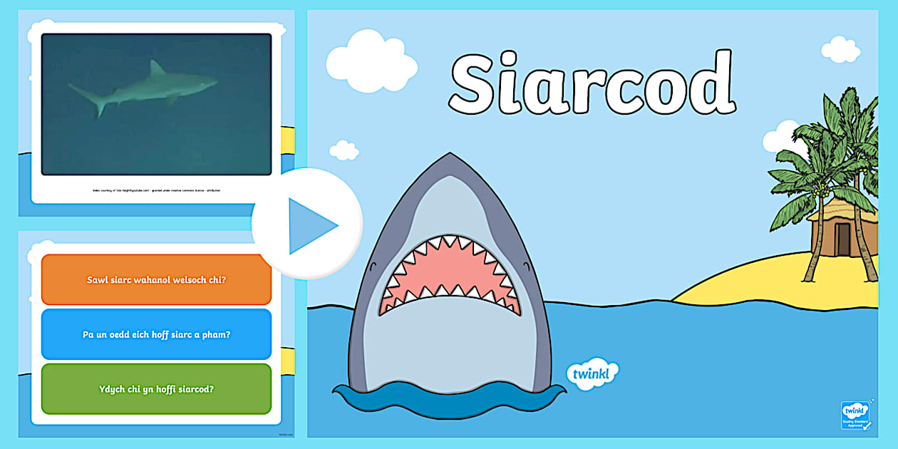 Pŵerbwynt Fideo Siarc O Dan y Môr - Twinkl