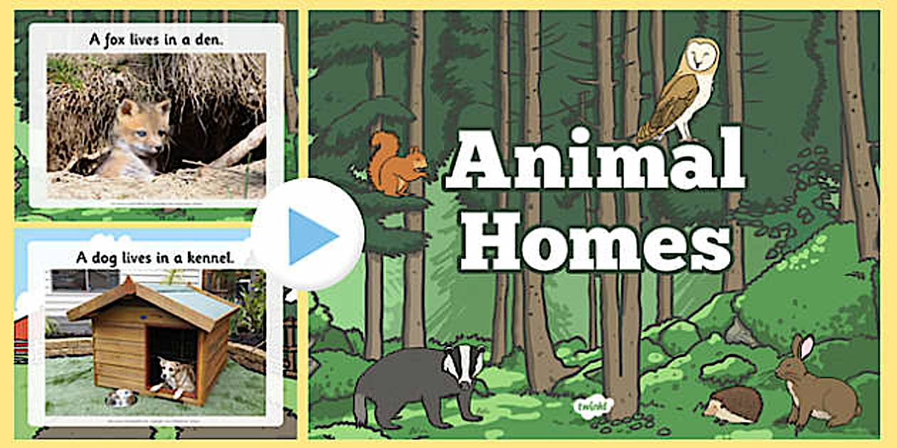 FREE! - Twinkl x ClassPoint Animal Homes PowerPoint - Twinkl