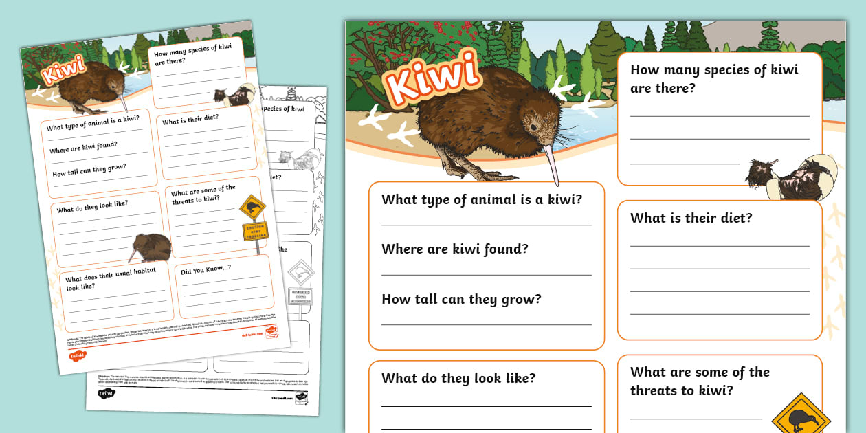 Kiwi Bird Fact File Template (teacher made) - Twinkl