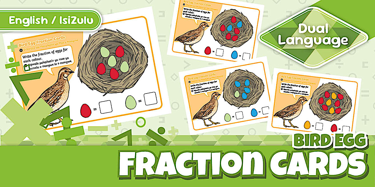 Grade 3 Maths Bird Egg Fraction Cards (CAPS Aligned)
