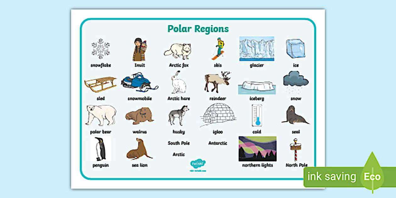 Polar Regions Word Mat (Teacher-Made) - Twinkl