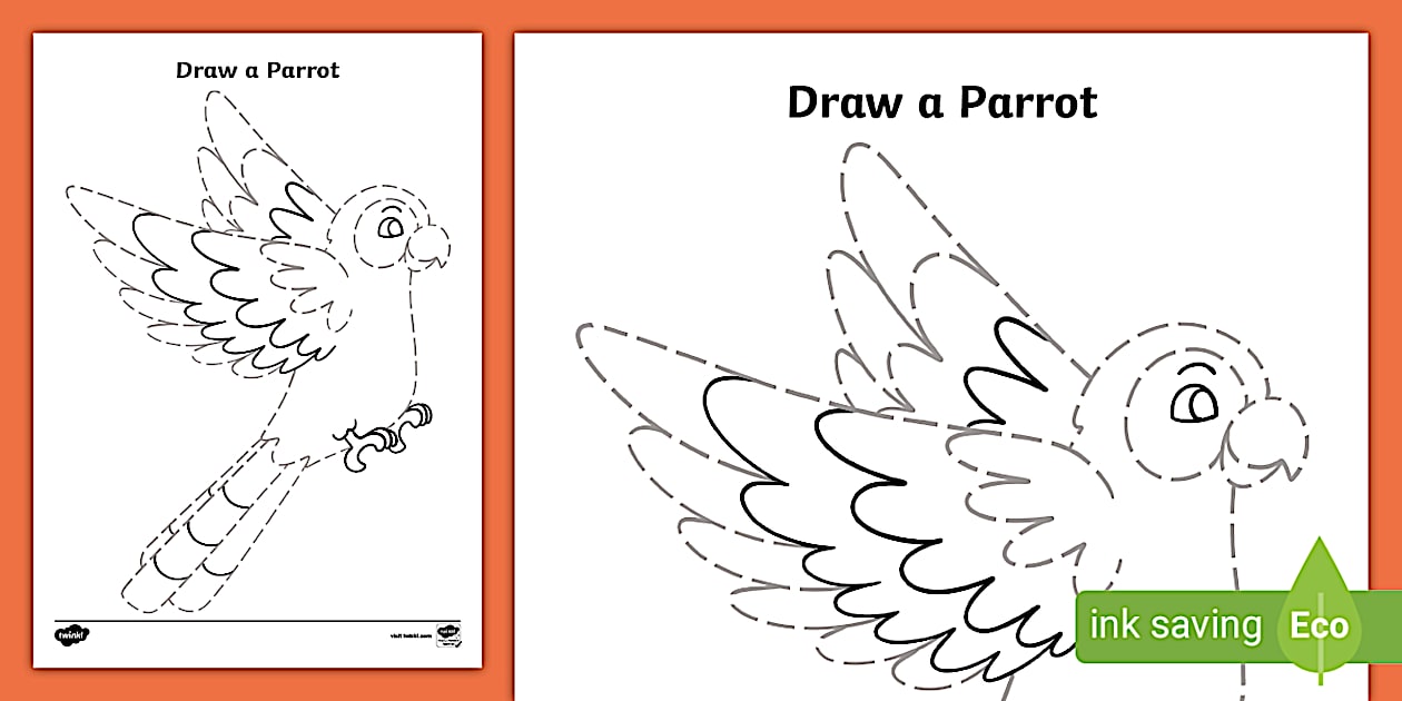 EYFS Draw a Parrot Pencil Control Activity | Twinkl - Twinkl