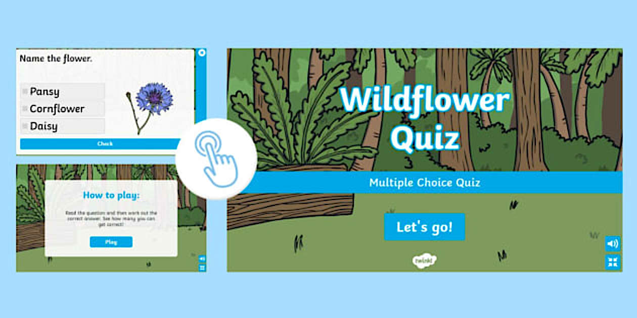 Wildflower Multiple Choice Quiz (teacher made) - Twinkl
