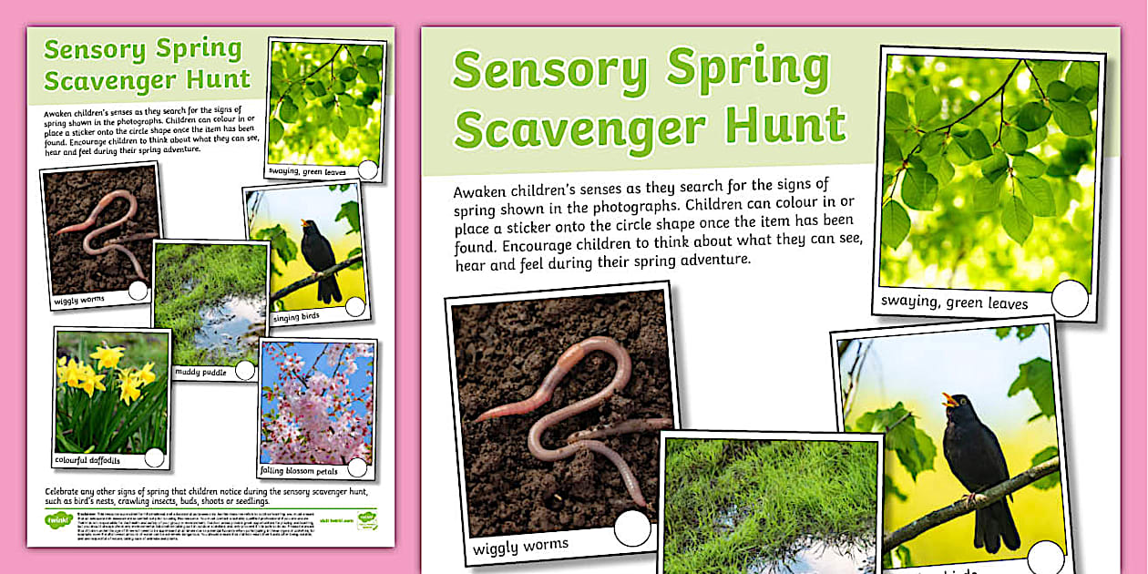 Sensory Spring Scavenger Hunt | Twinkl (Lehrer gemacht)