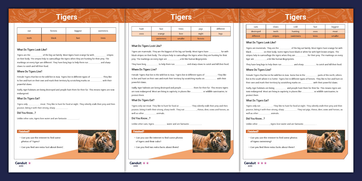 Reinforcing Reading: Tigers Differentiated Cloze Passages