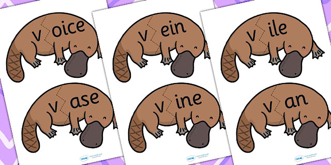 v Sound And Vowel Animal Jigsaw (teacher made) - Twinkl