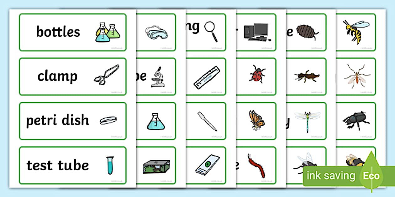 Editable Minibeasts Investigation Lab Role Play Word Cards