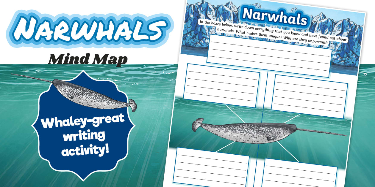 Narwhals Mind Map