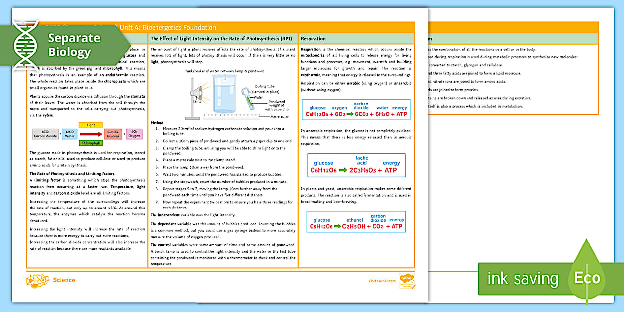AQA GCSE Biology (Separate) Unit 4 Bioenergetics Foundation Knowledge