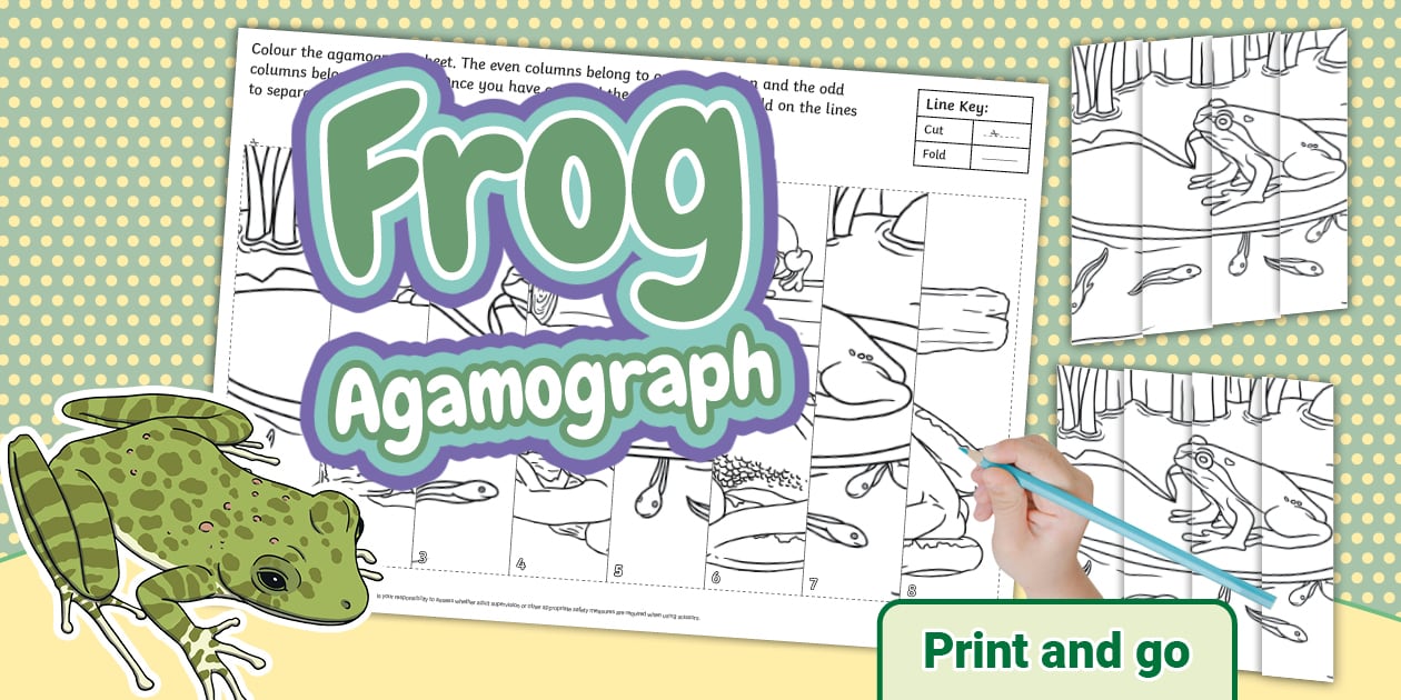 Frog Agamograph