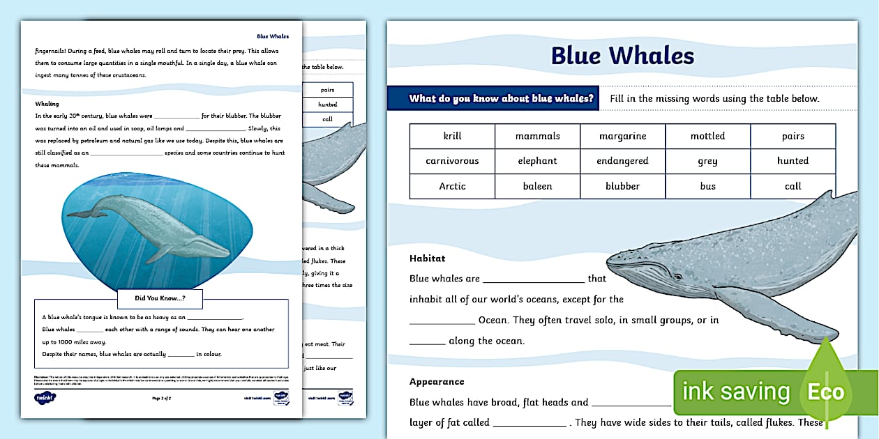 Blue Whale Cloze Worksheet (teacher made) - Twinkl