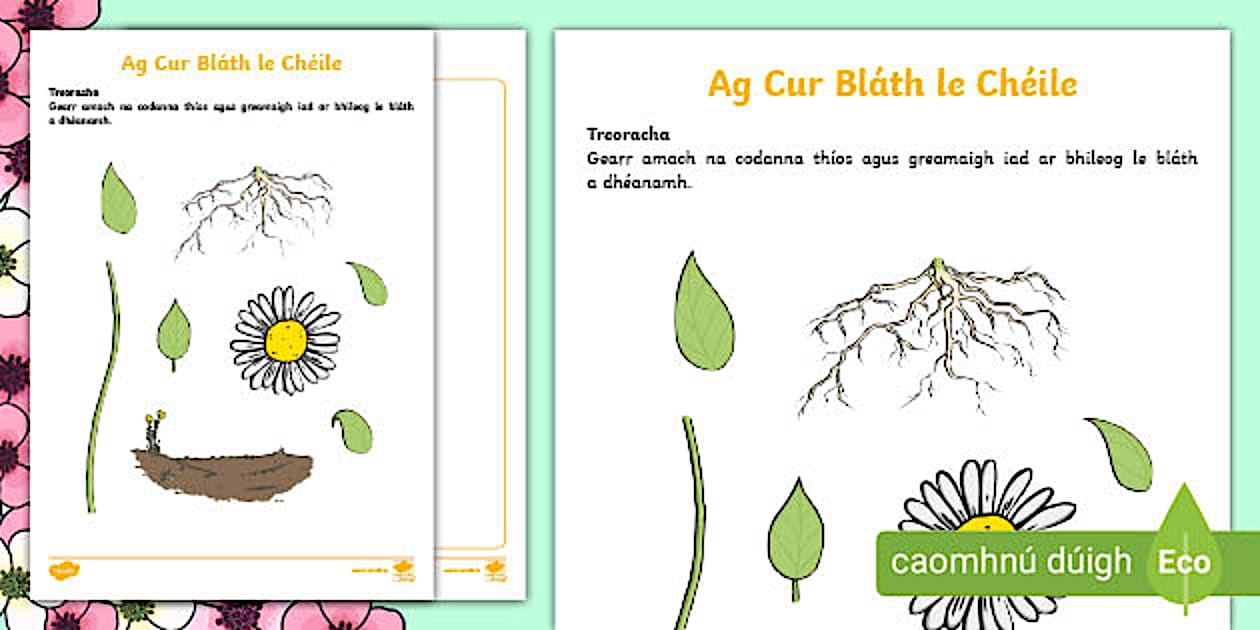 Spring Aistear Flower Cut and Paste Worksheet Gaeilge
