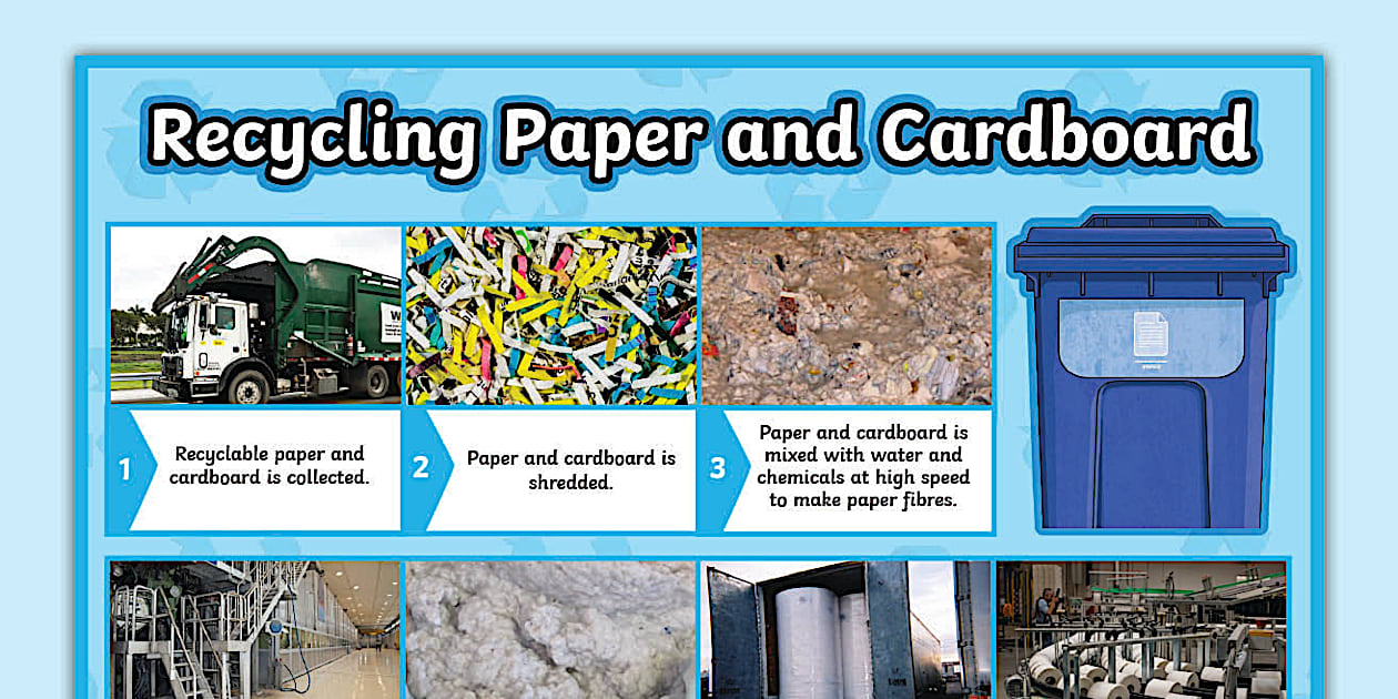 Recycling Paper and Cardboard Information Poster - Twinkl