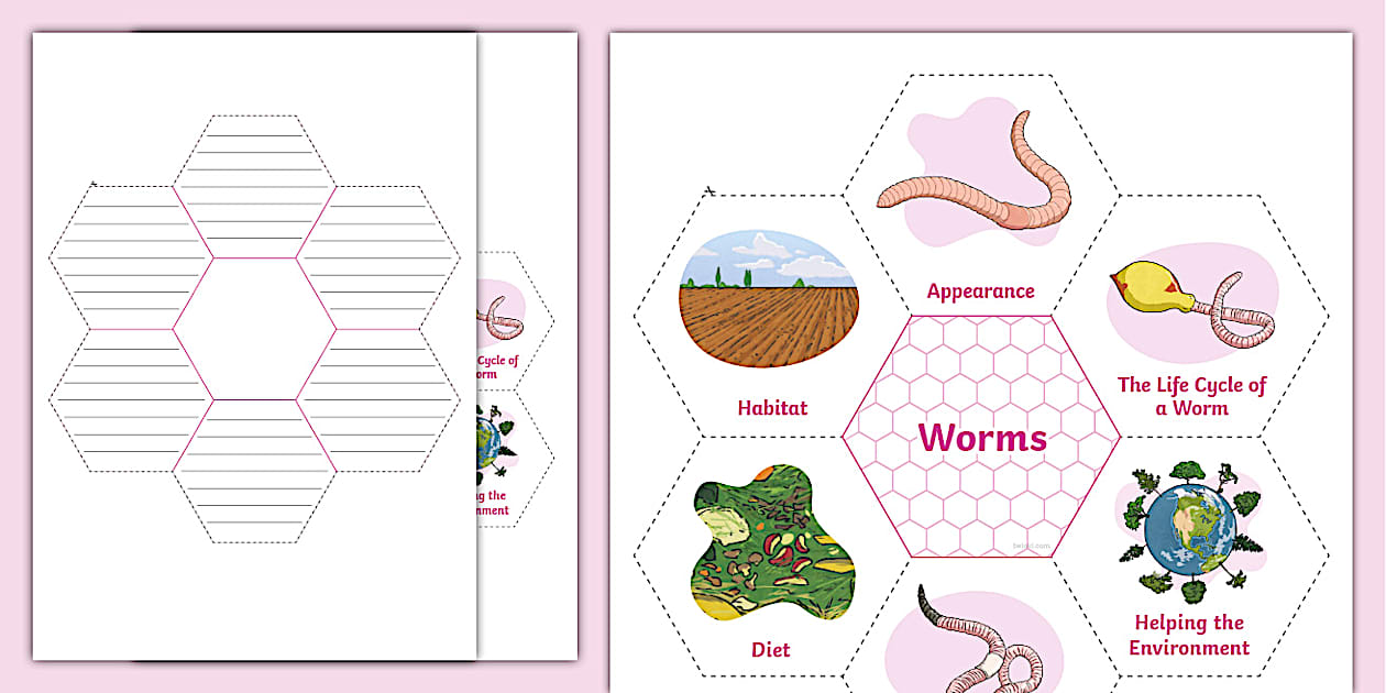 Worms Hexagon Writing Template (teacher made) - Twinkl