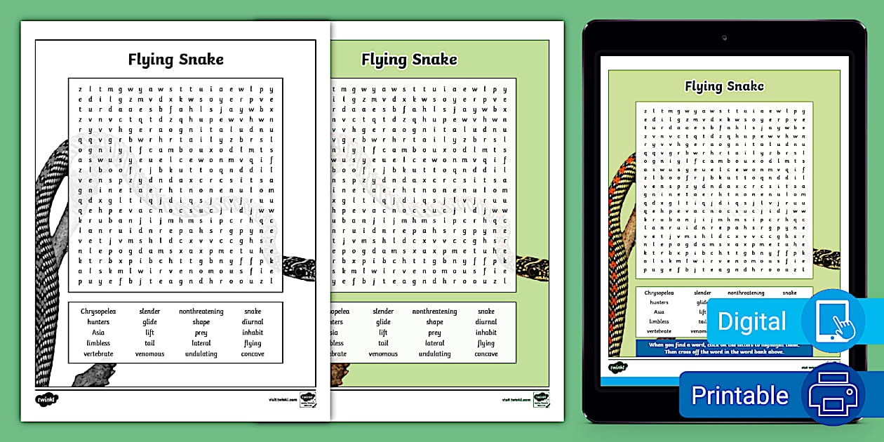 Eighth Grade Flying Snake Word Search Worksheet