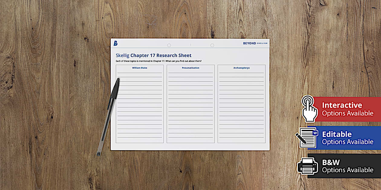 Skellig Chapter 17 Research Worksheet - Twinkl