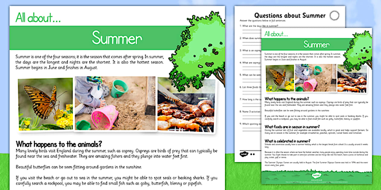 Summer Comprehension Differentiated Worksheet / Worksheet Pack