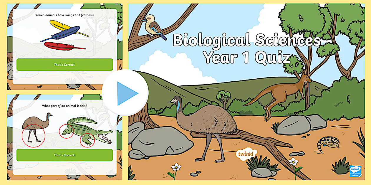 Year 1 Biological Sciences Quiz PowerPoint | Year 1 Science