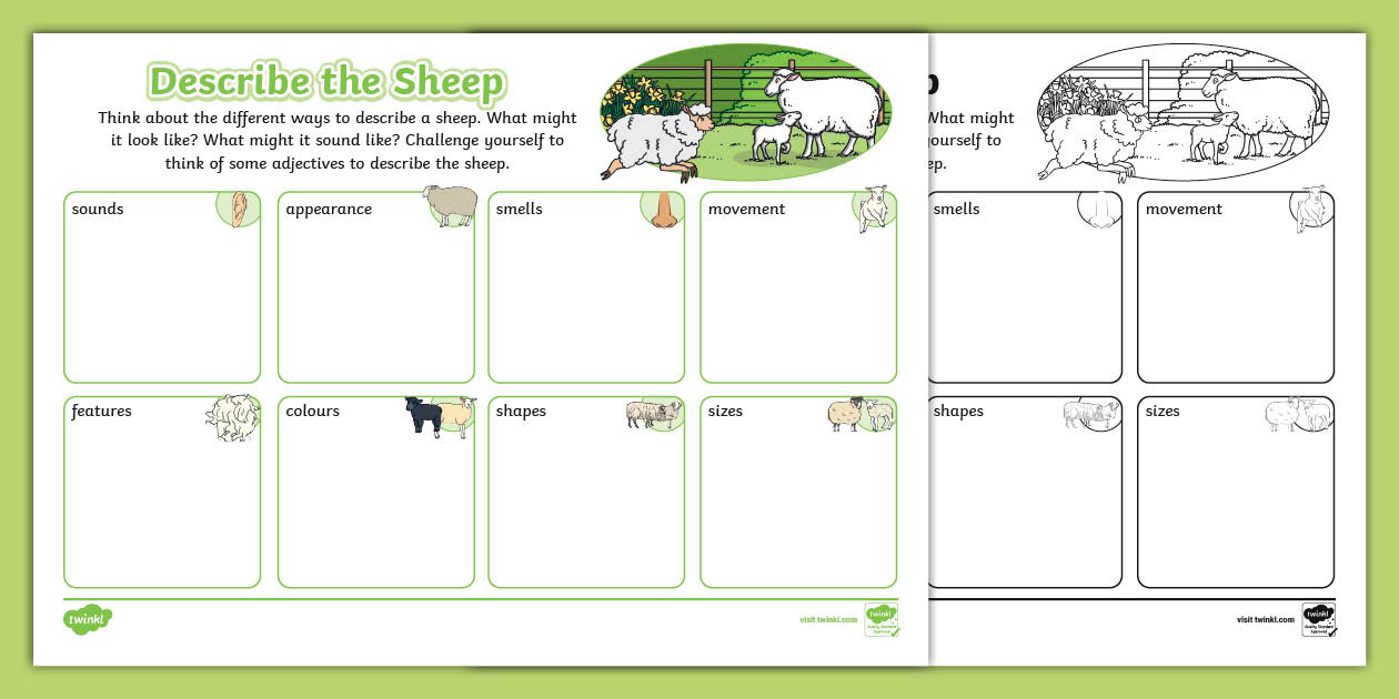 Sheep Adjectives Worksheet - Twinkl Writing (teacher made)