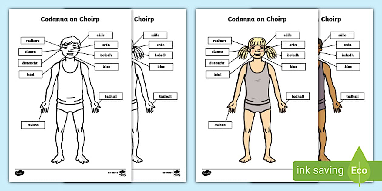 Gníomhaíocht Lipéadú: Codanna an Choirp - Twinkl