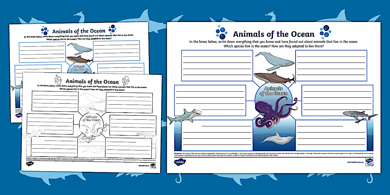Animals of the Ocean Mind Map (teacher made) - Twinkl