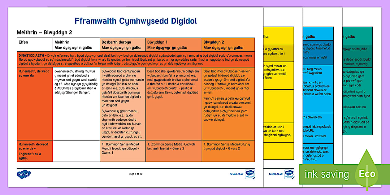 Fframwaith Cymhwysedd Digidol Meithrin i Flwyddyn 2 Poster Arddangos A4 ...